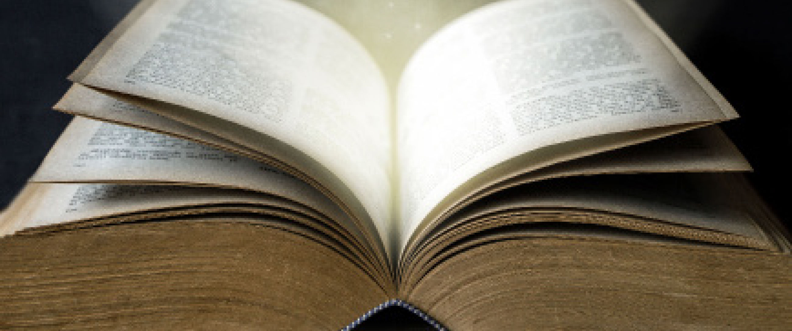 Collectable Limited Edition Books - Palawan Press Publishing